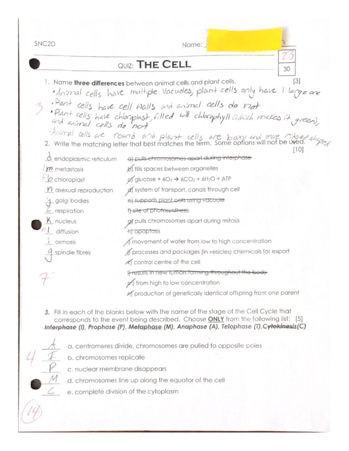 QUIZ THE CELL - SNC2D - Studocu