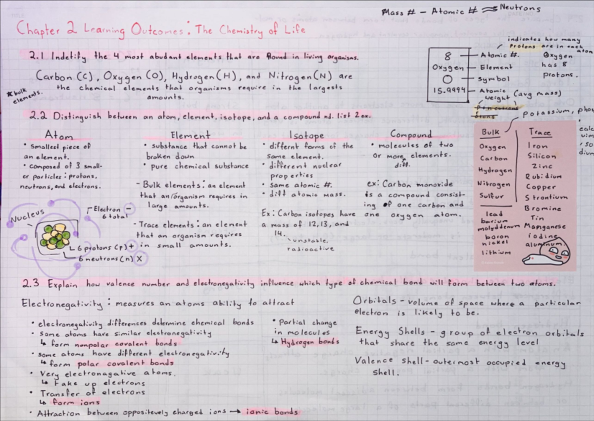 Chapter 2- The Chemistry of Life - BIOL 1408 - Studocu
