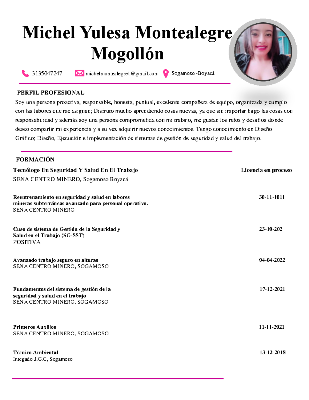 Hoja de vida Michel Montealegre - Michel Yulesa Montealegre Mogollón 3135047247 - Studocu