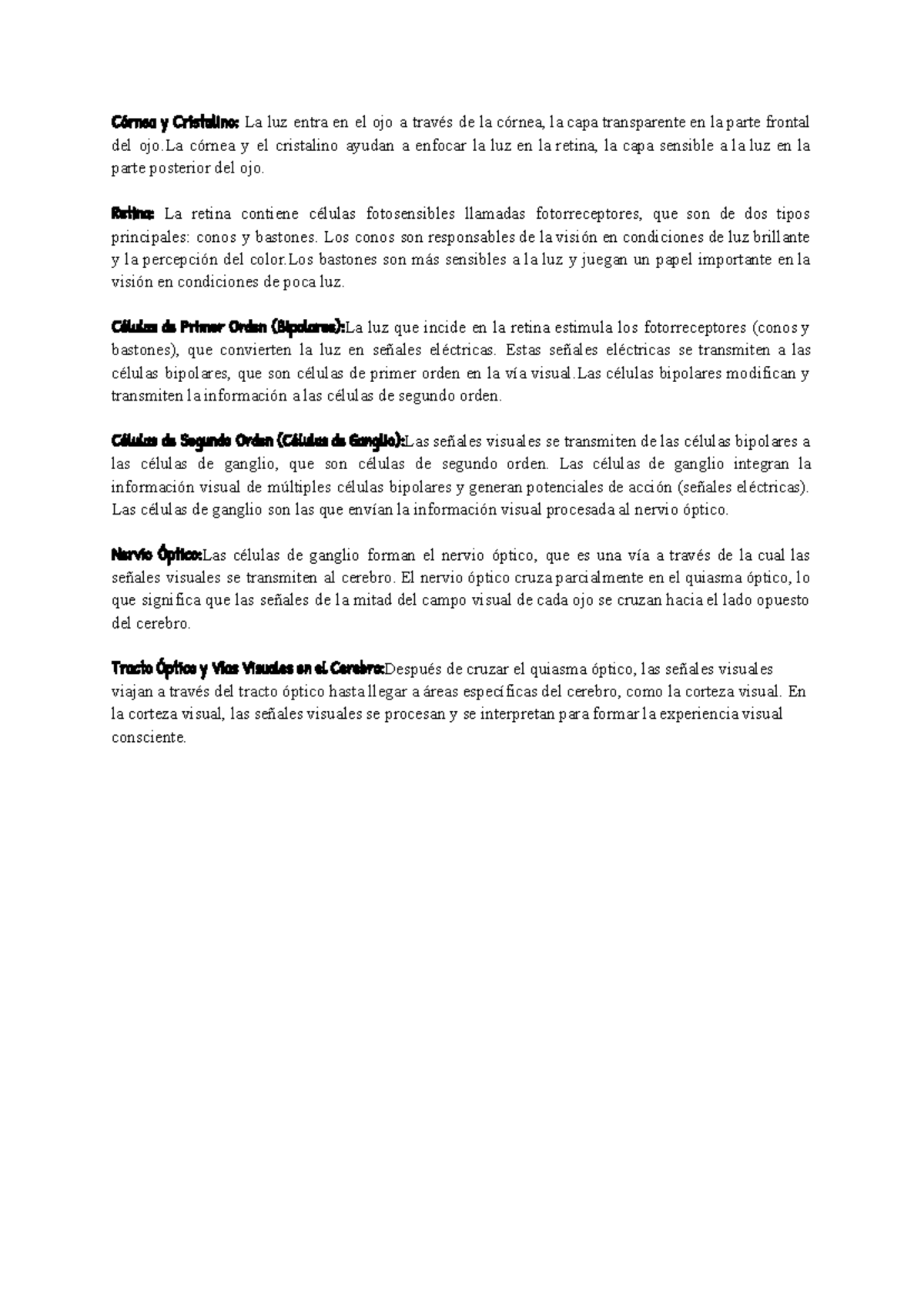 Proceso visual del ojo - Córnea y Cristalino: La luz entra en el ojo a ...
