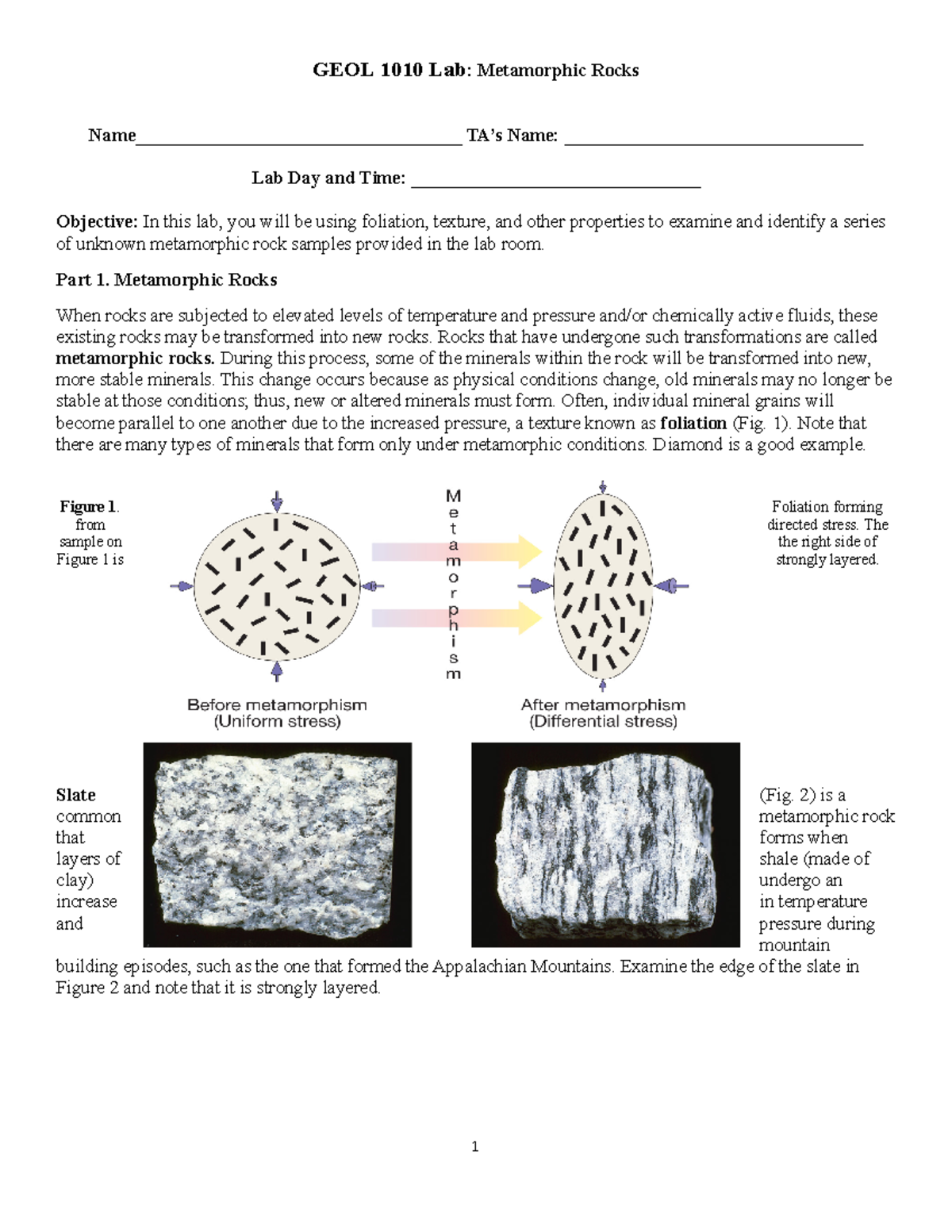 Metamorphic Rocks - Dr. Hua PBIO 1140 - GEOL 1010 Lab: Metamorphic ...
