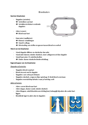 Handleiding ehbo bij kinderen - Les ehbo bij kinderen In samenwerking ...
