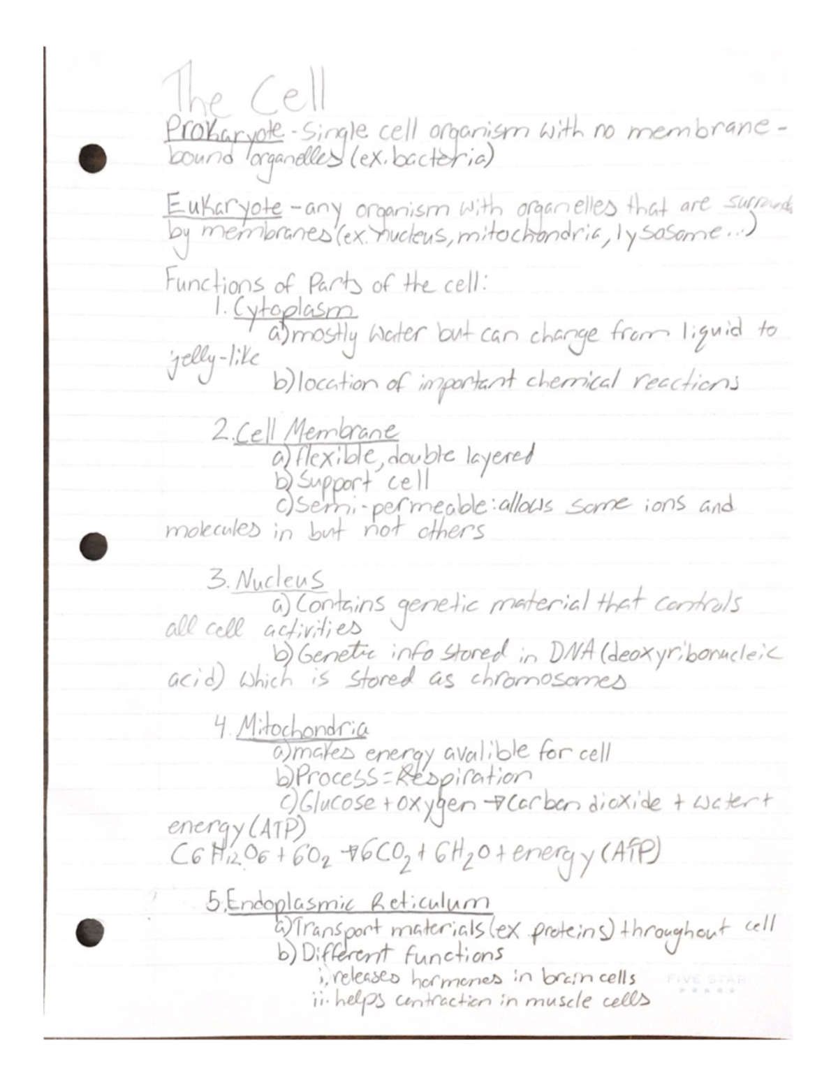 3. Nucleus - diagram of cell homework - SNC2D - Studocu
