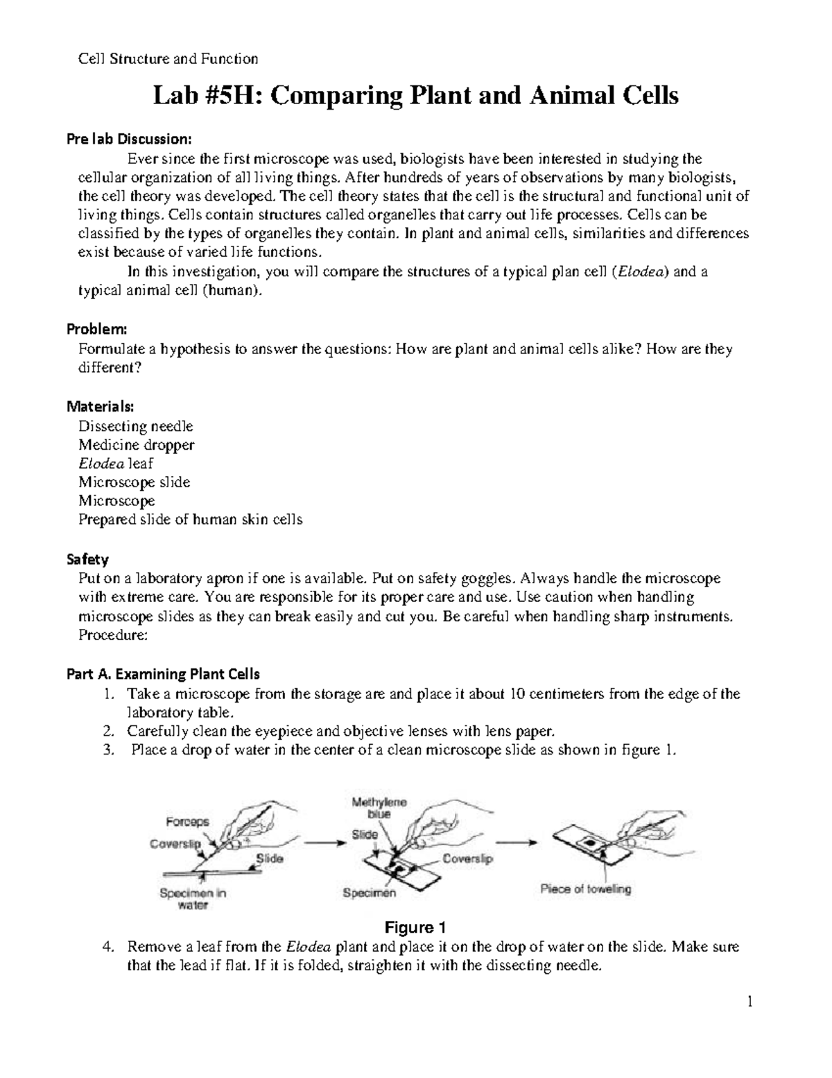 Lab 5H - Comparing Plant and Animal Cells PDF - Lab #5H: Comparing ...