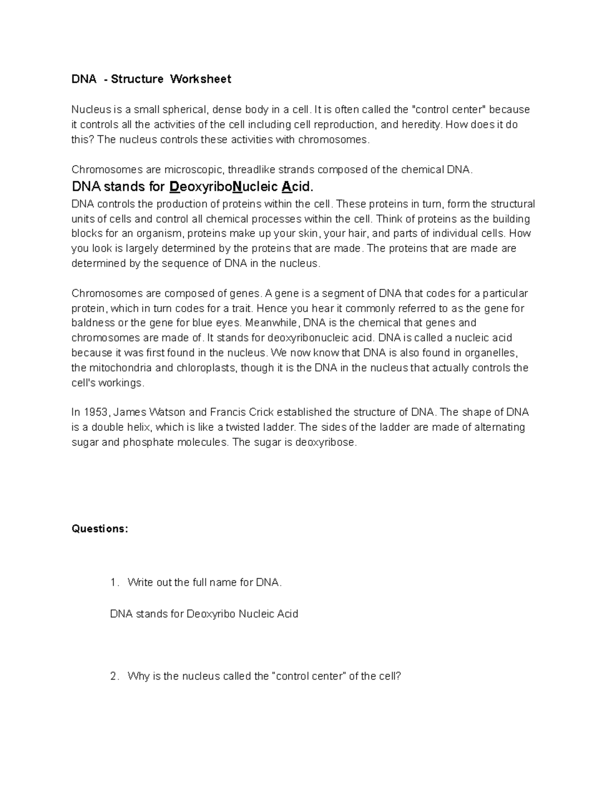DNA Structure Worksheet all 17th Feb - DNA - Structure Worksheet ...