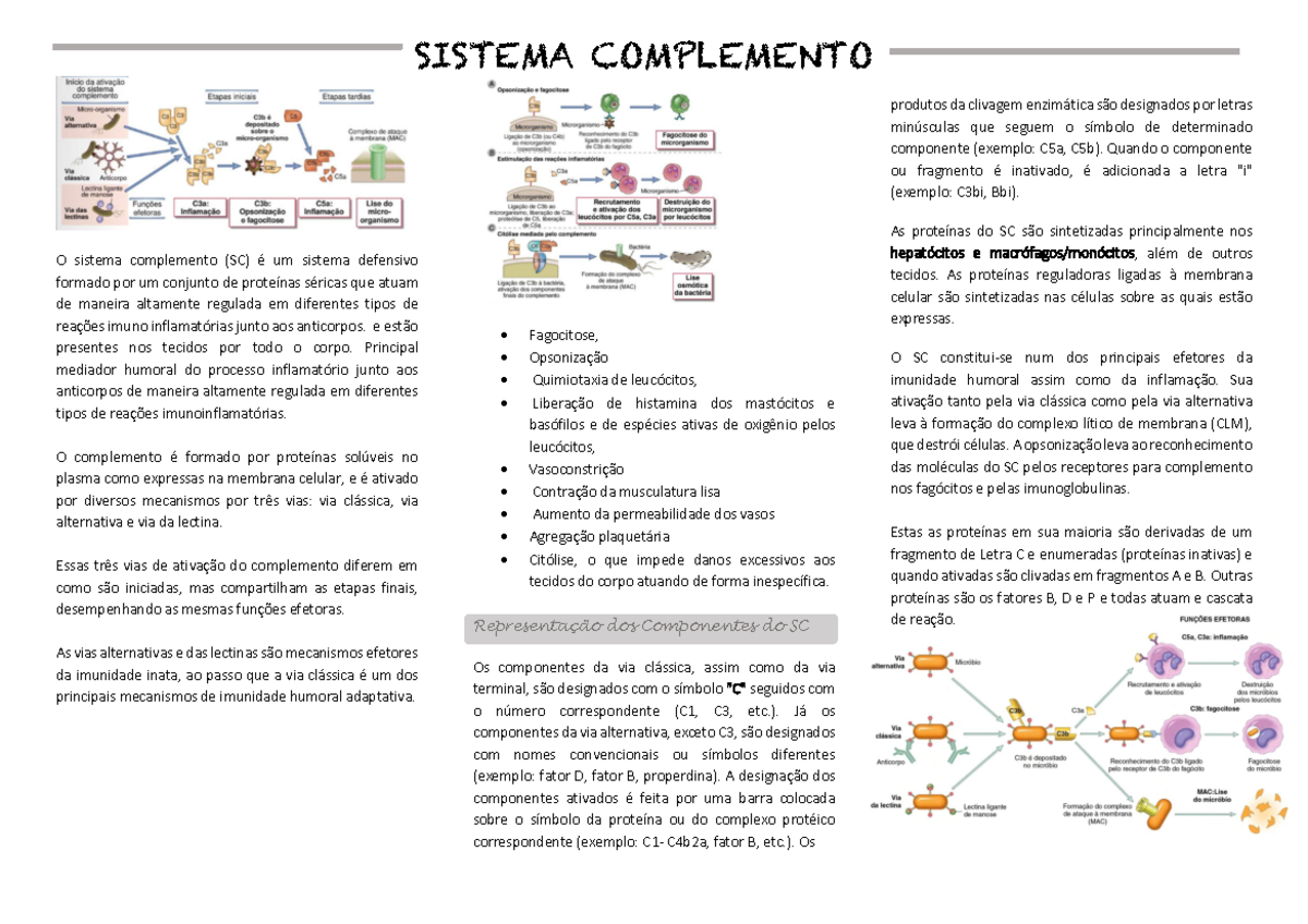 Sistema Complemento - Reação Imunológica - O sistema complemento (SC) é ...