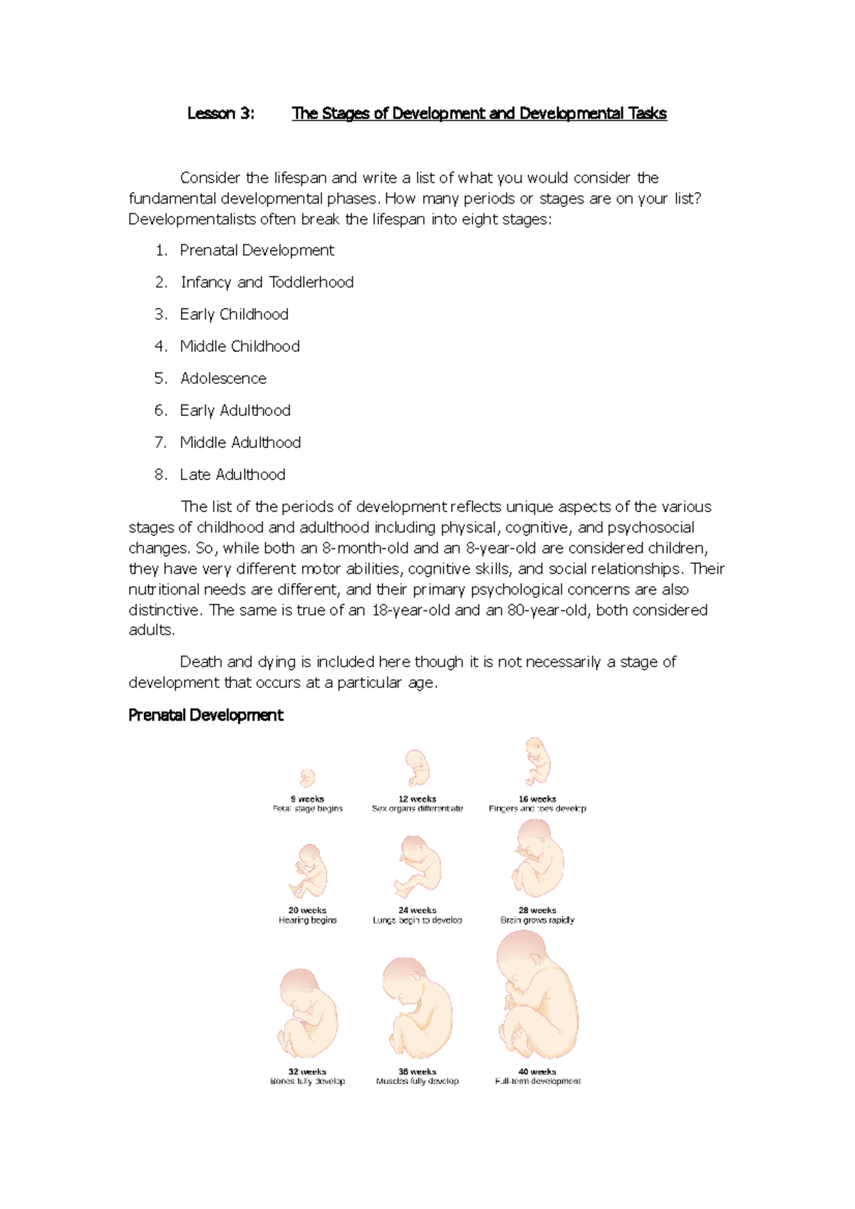 stages of life of the man - Lesson 3: The Stages of Development and ...