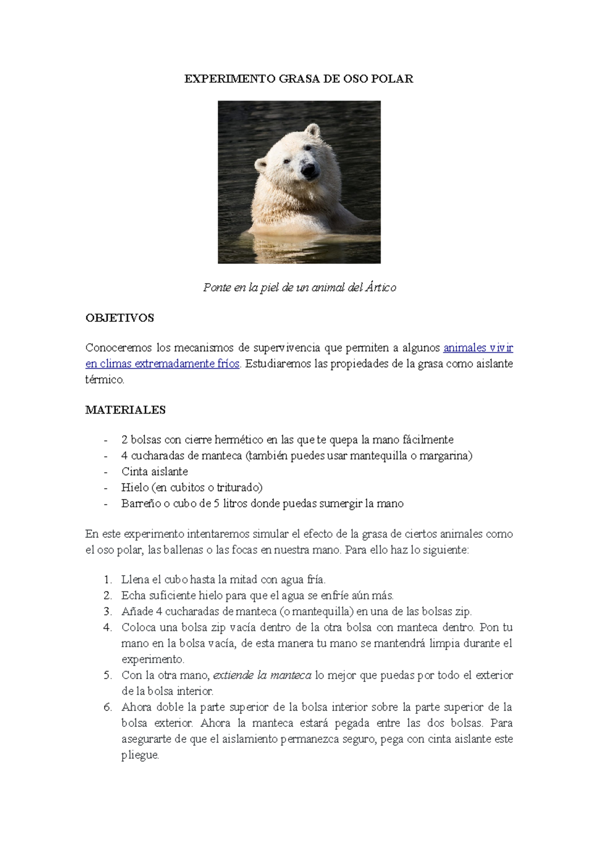 Experimento Grasa DE OSO Polar - EXPERIMENTO GRASA DE OSO POLAR Ponte ...