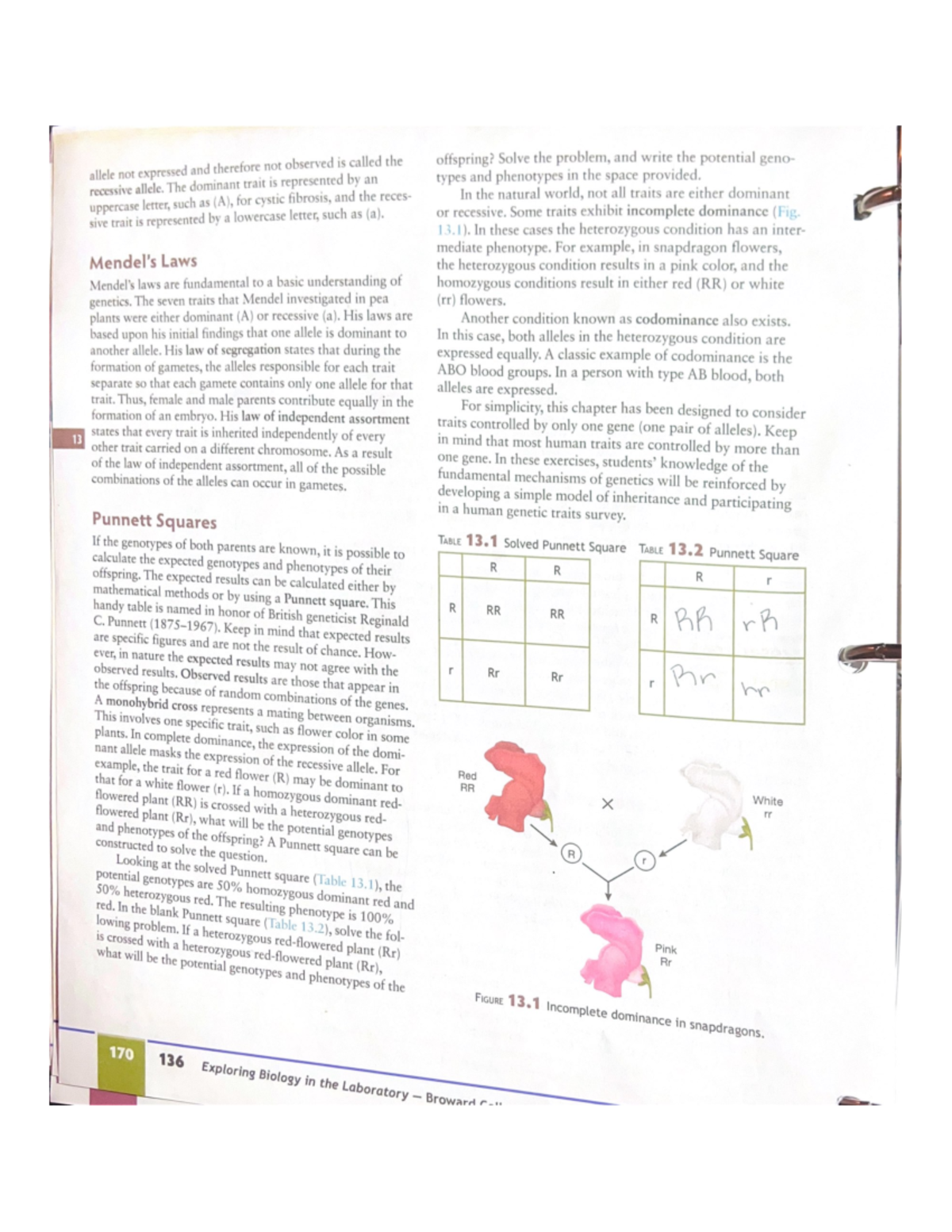 Basic Mendelian Genetics - BIL 141 A - Studocu