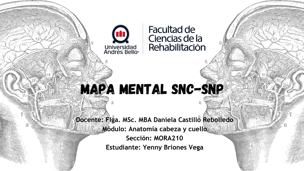 Mapa Mental SNC-SNP - mapa mental SNC-SNP Docente: Flga. MSc. MBA ...