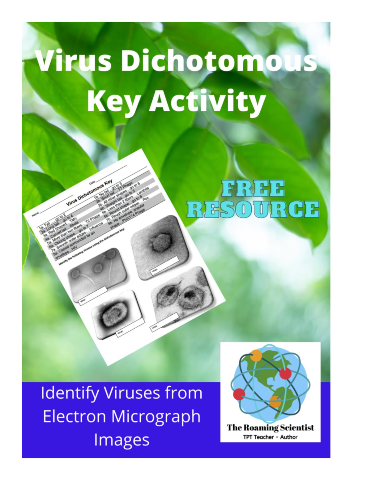 Virus Dichotomous Key Activitystudentedition - Teacher Notes: This ...