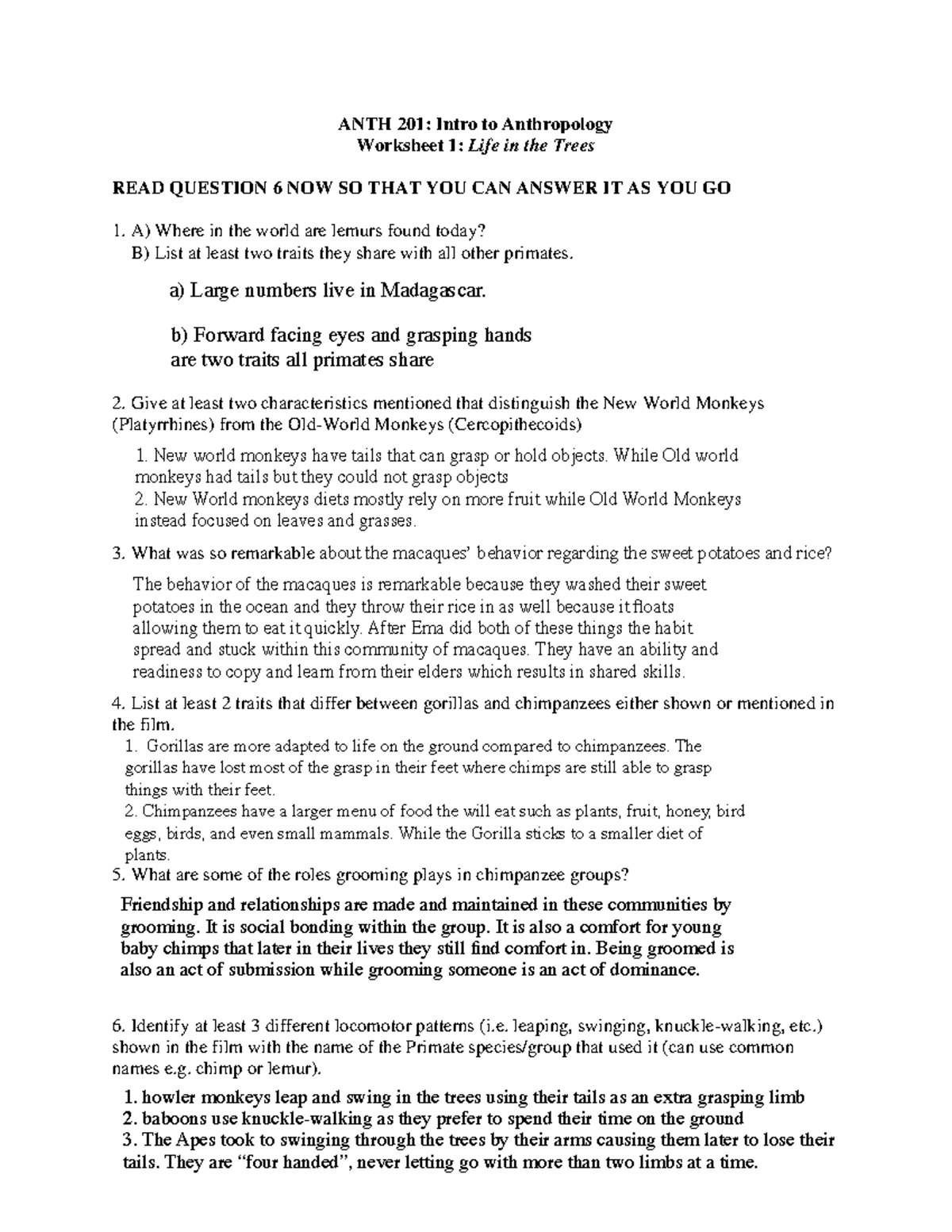 Worksheet 1-Life in the Trees - ANTH 201: Intro to Anthropology ...