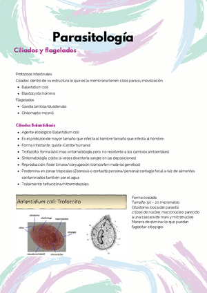 Técnica Test de Camp - TEST DE CAMP La prueba CAMP (Christie-Atkins ...