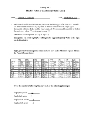 Vital-Signs-Checklist - Checklist for the VS measurement (TPR and BP) A ...