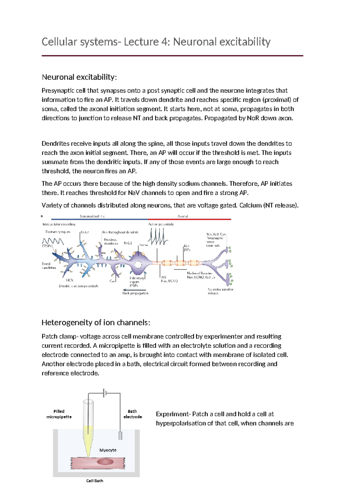 Lecture 4- Neuronal excitability - Cellular systems- Lecture 4 ...
