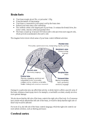 OCR A- Level Biology Cheatsheet - THE ULTIMATE A-LEVEL OCR BIOLOGY ...