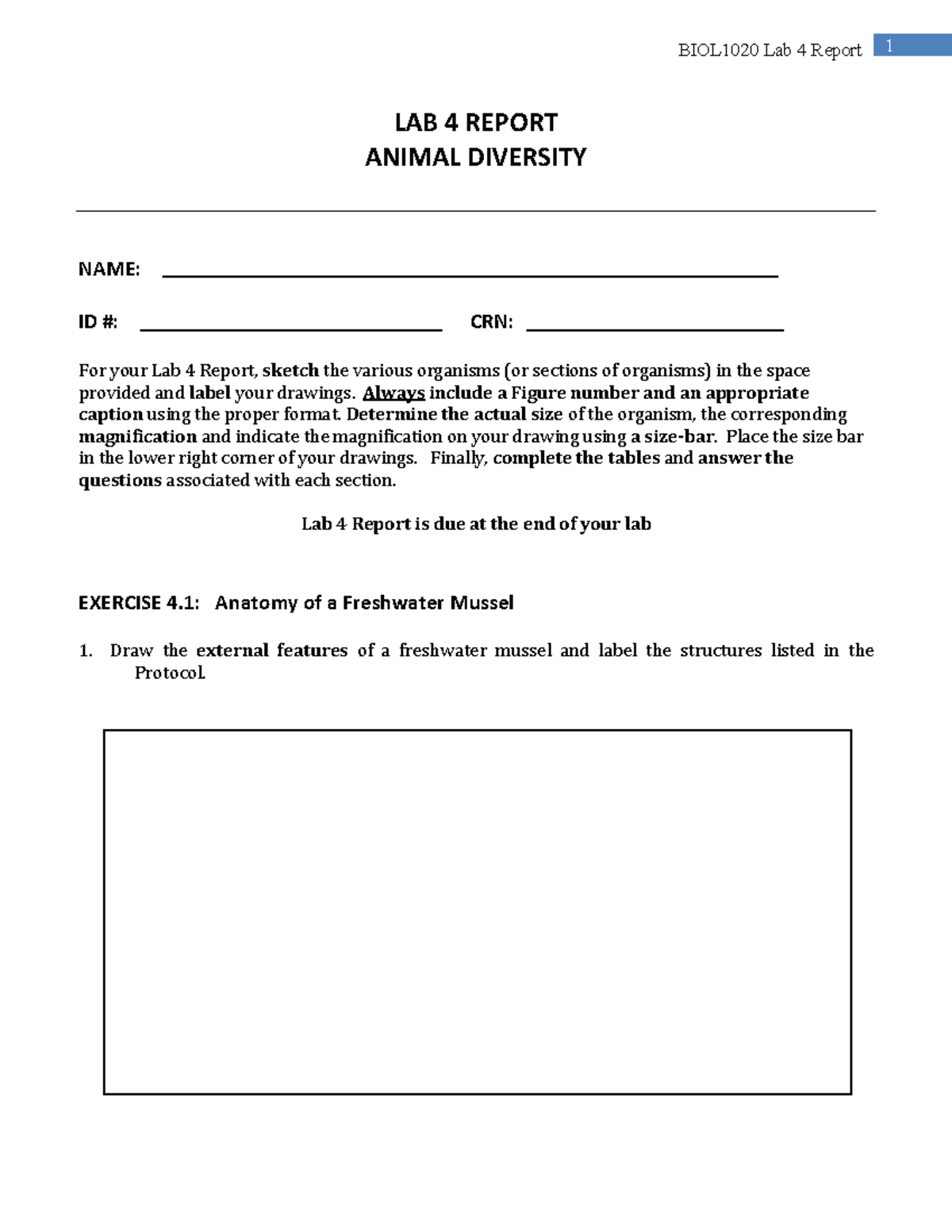 Lab 4 Report S2022 (1) - LAB 4 REPORT ANIMAL DIVERSITY NAME: ID #: CRN ...