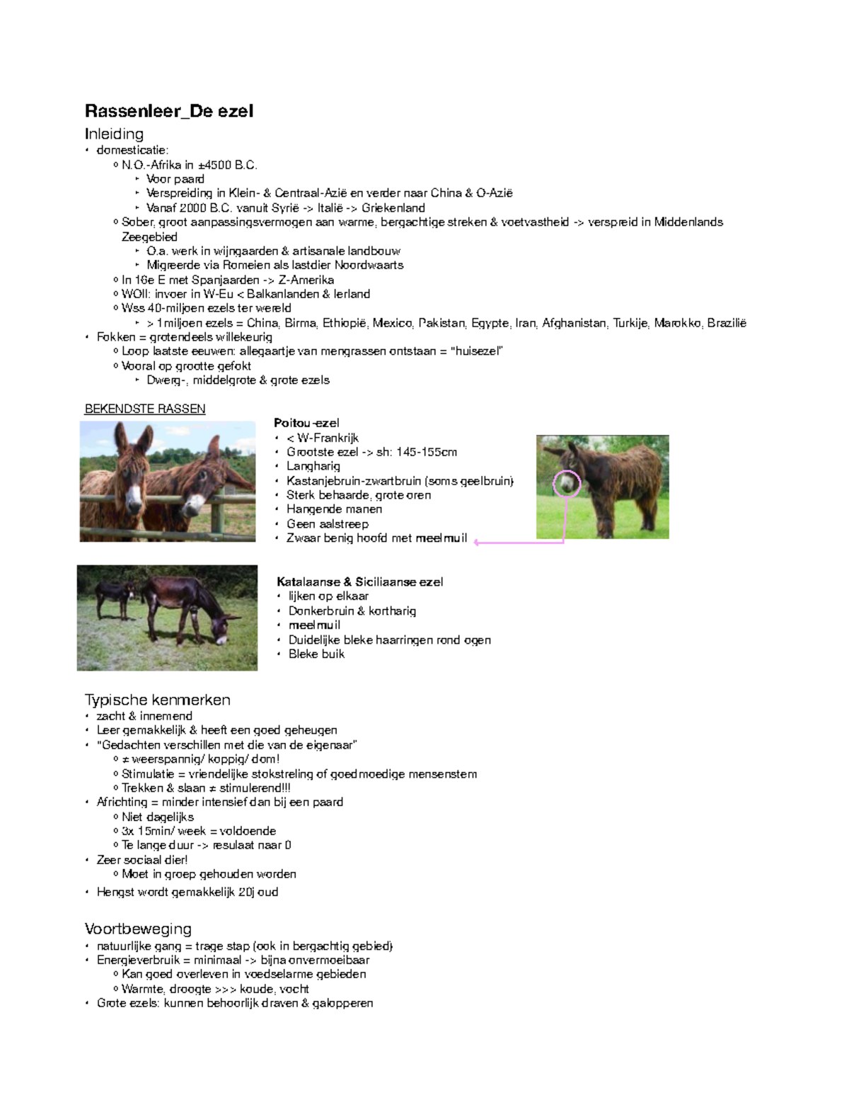 Rassenleer samenvatting 6 Ezels - Rassenleer_De ezel Inleiding ...