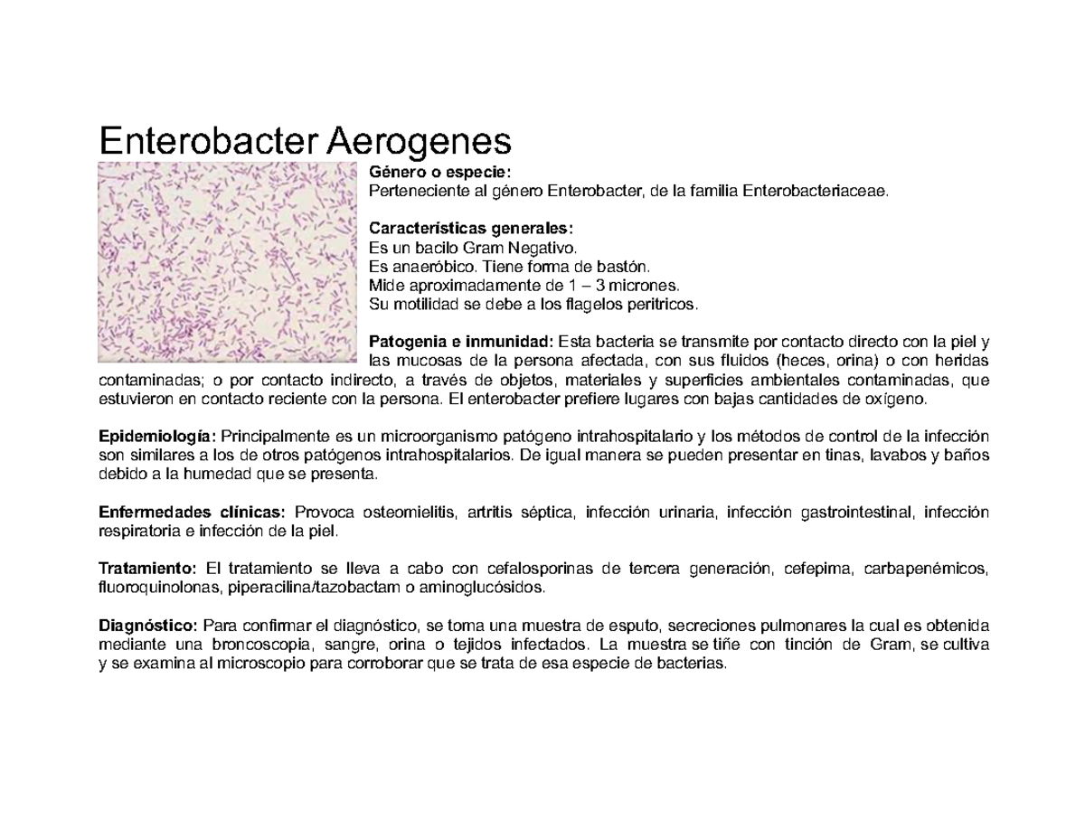Enterobacter Aerogenes - Enterobacter Aerogenes Género o especie: Perteneciente al género - Studocu