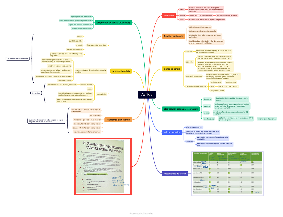 Asfixia - Asfixia definición asfixia afeccion producida por falta de ...