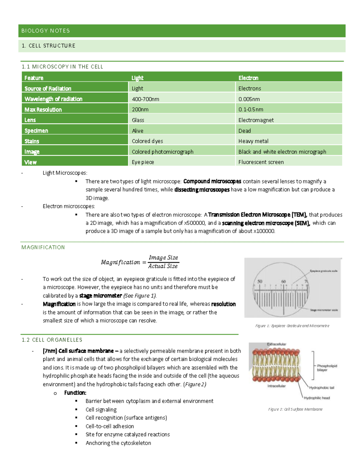 Bio Notes AS - BIOLOGY NOTES 1. CELL STRUCTURE 1 MICROSCOPY IN THE CELL ...