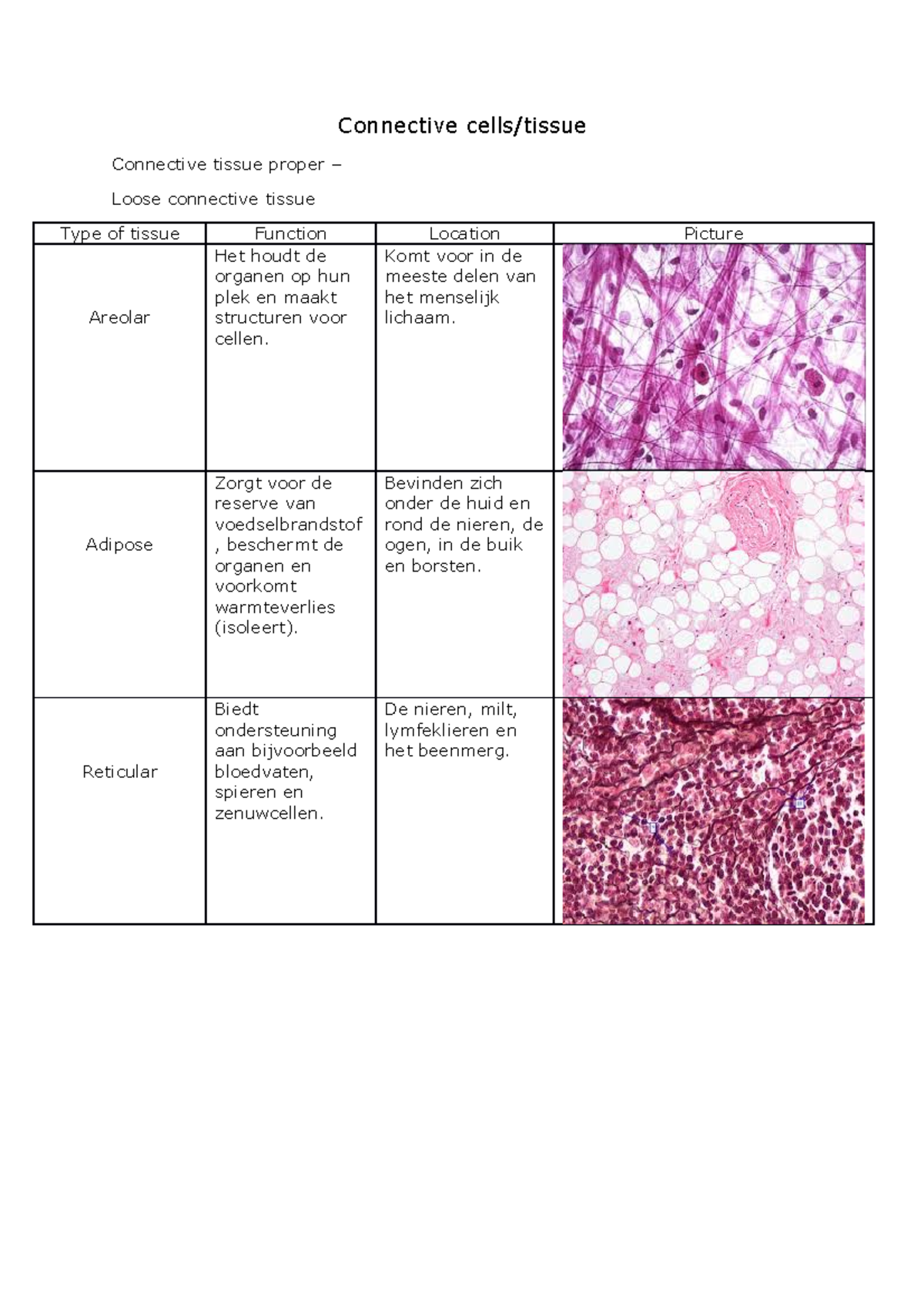 Connective tissue work sheet_Hisologie en pathologie_FLO_jaar 2 ...
