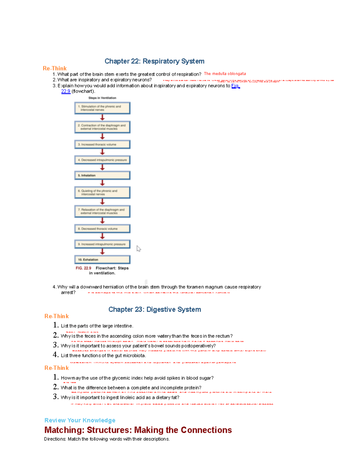 AHP106 Wk5 Assignment - Chapter 22: Respiratory System Re-Think 1. What ...