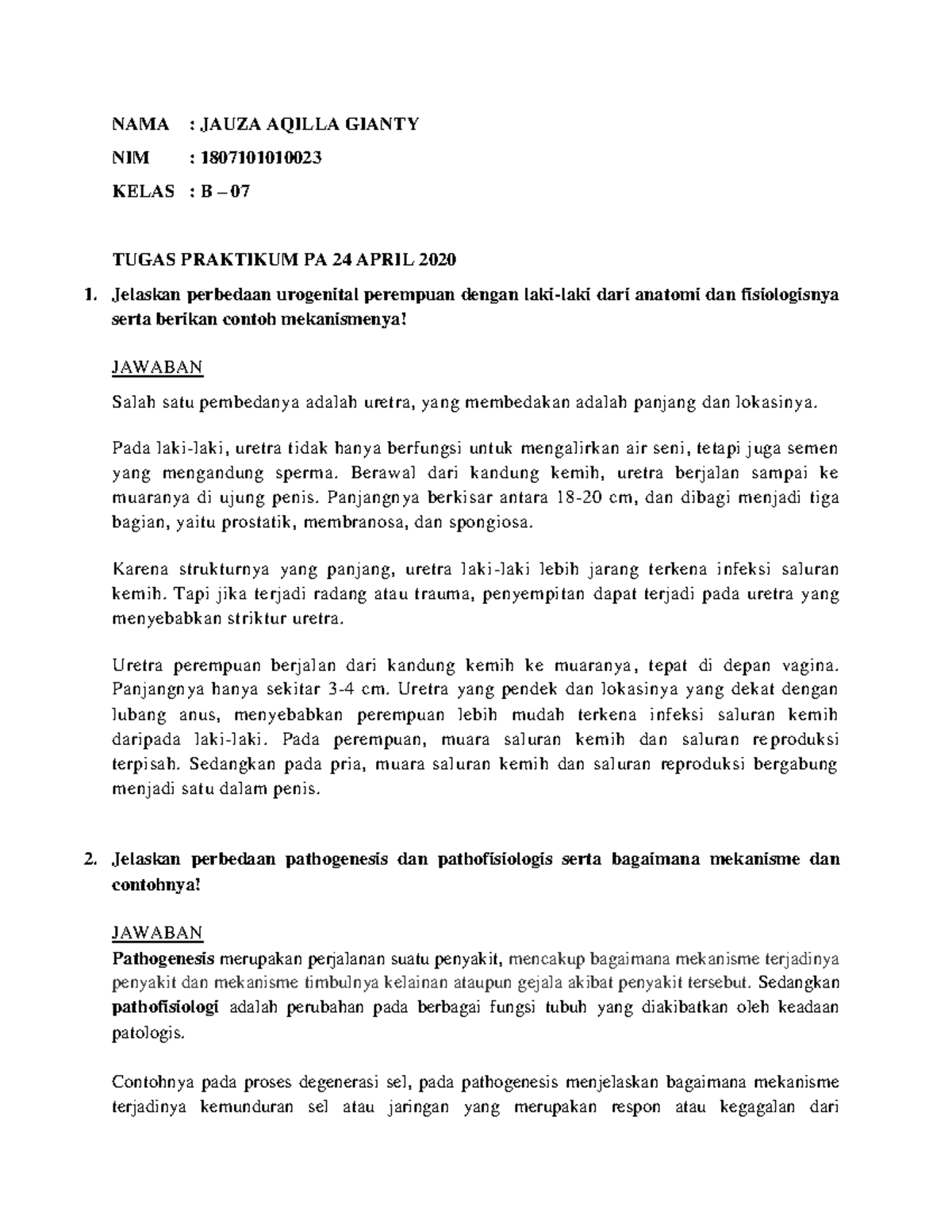Laporan Tugas Praktikum Patologi Anatomi Urologi Jauza Aqilla Gianty ...
