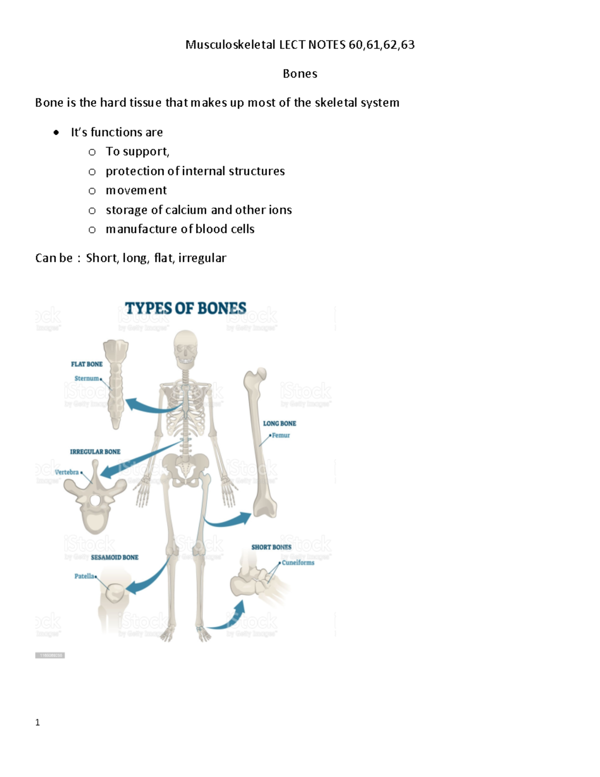 Musculoskeletal Lecture Notes: Bones Joints and Injuries - Studocu