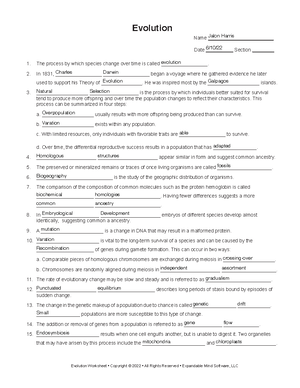 BIOL 2107K Chapter 6 Practice Sheet 1 - Name ...