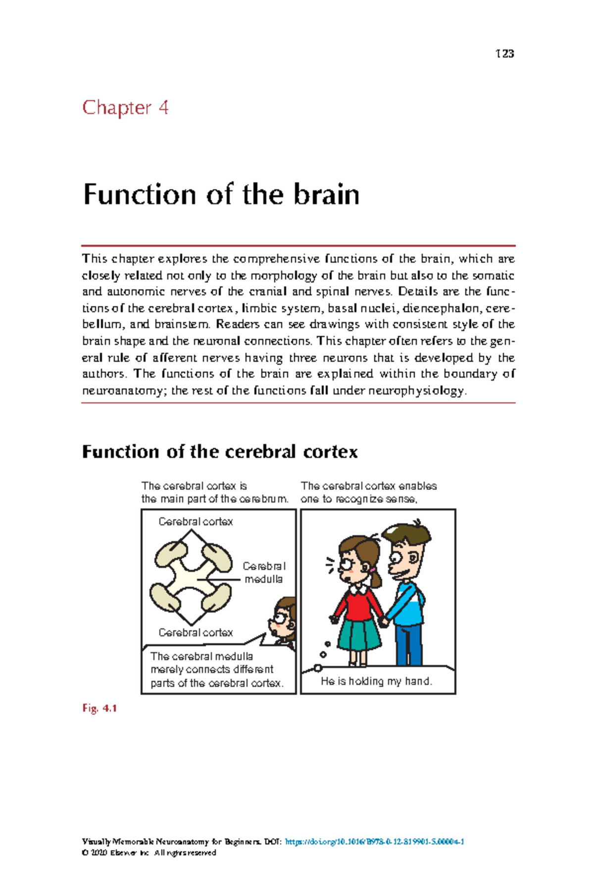 1674039330409441 neuroanatomy comics - Chapter 4 Function of the brain ...