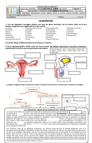 Guía 1. Caracteres geneticos de Mendel. Cruces - GENÉTICA Y HERENCIA ...