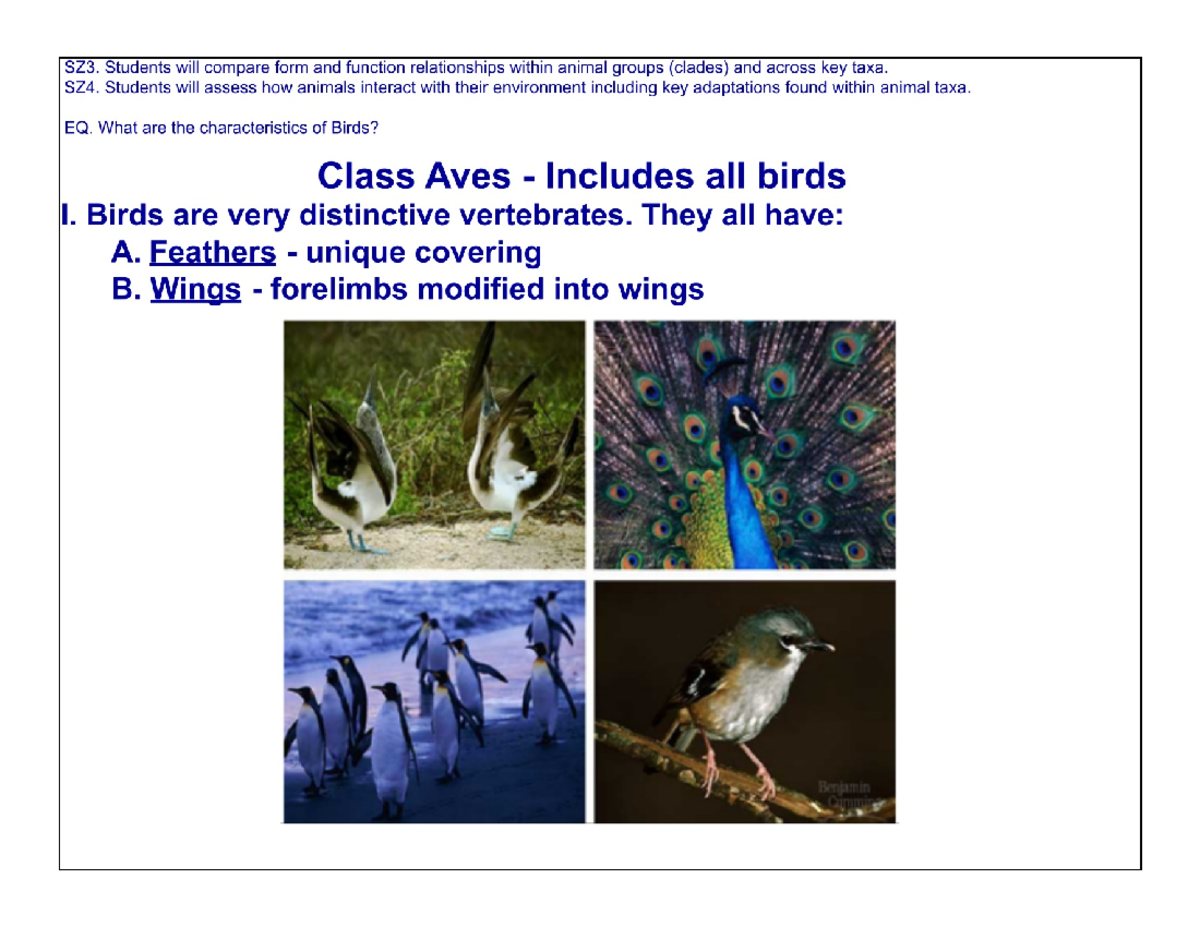 Class Aves Notes - SZ3. Students will compare form and function ...