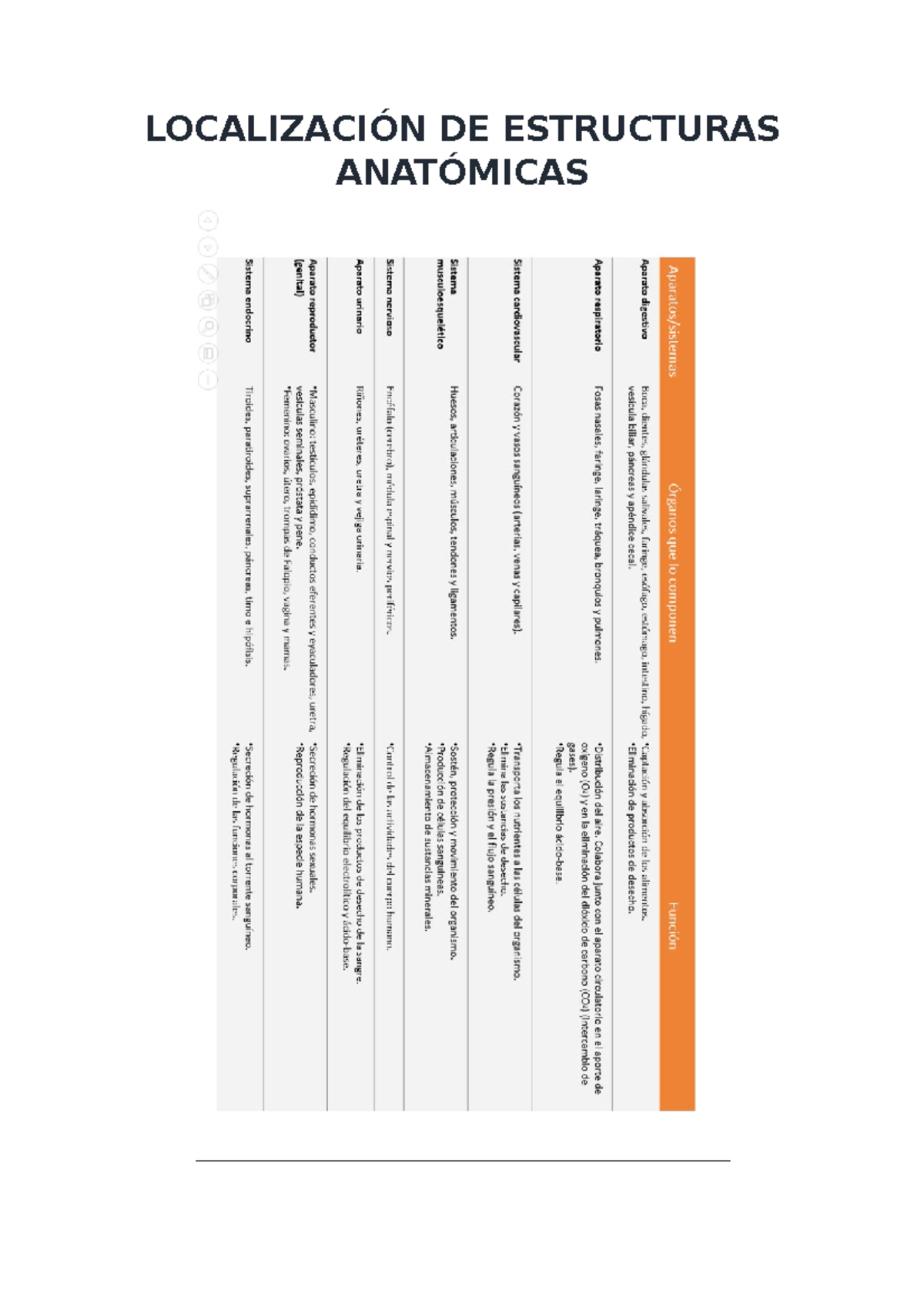 Localización DE Estructuras Anatómicas Y Histologia - LOCALIZACIÓN DE ESTRUCTURAS ANATÓMICAS ...