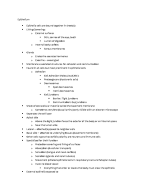 Respiratory System Outline - The Respiratory System RESPIRATORY SYSTEM ...