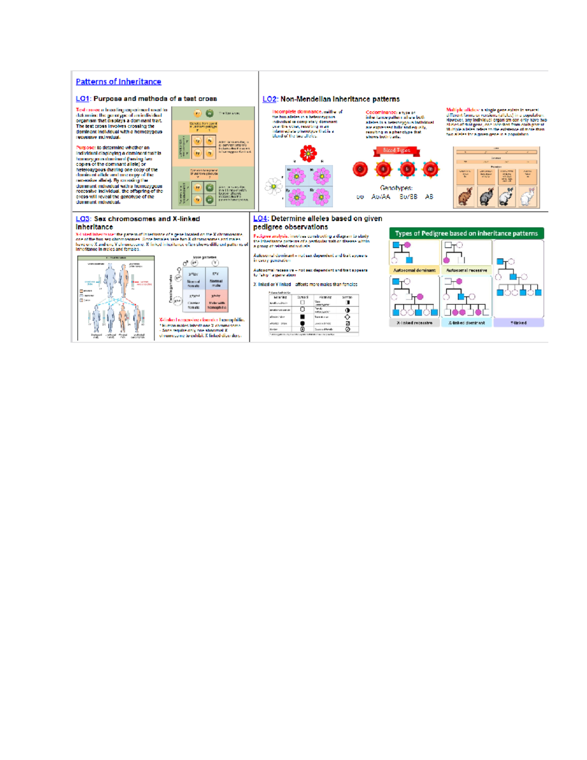 Patterns of Inheritance Whiteboard - Patterns of Inheritance LO1 ...