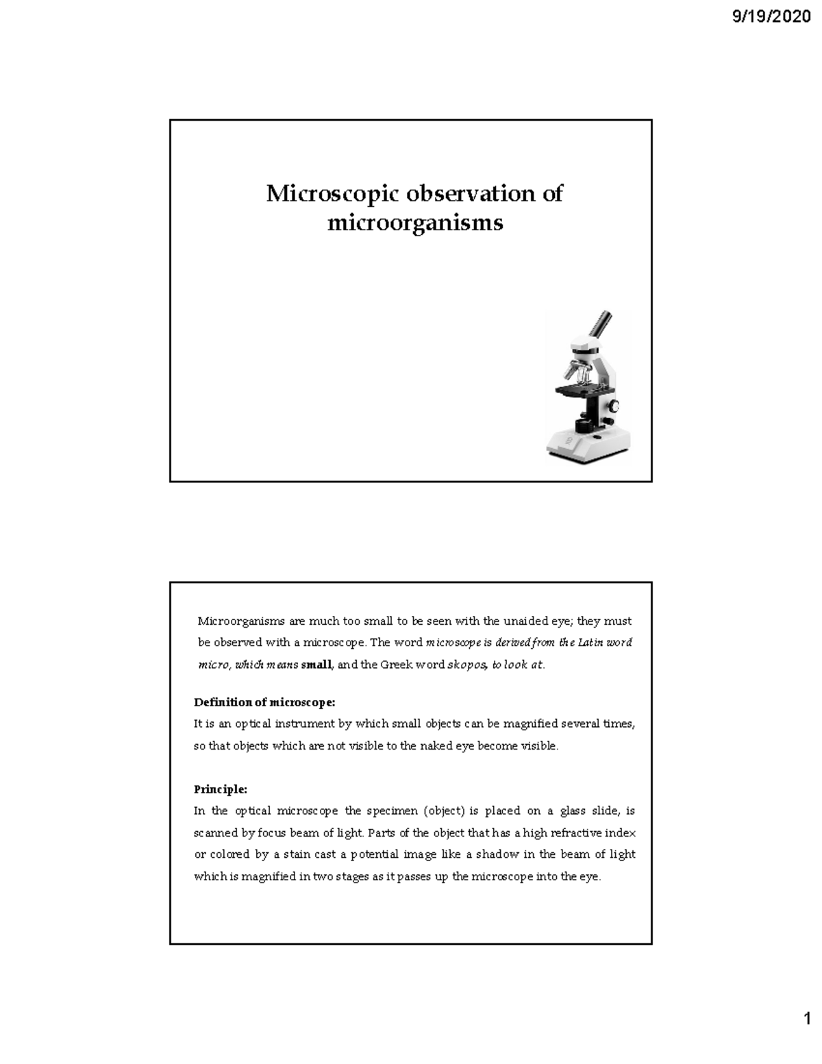 Microscope - lecture notes - Microscopic observation of microorganisms ...