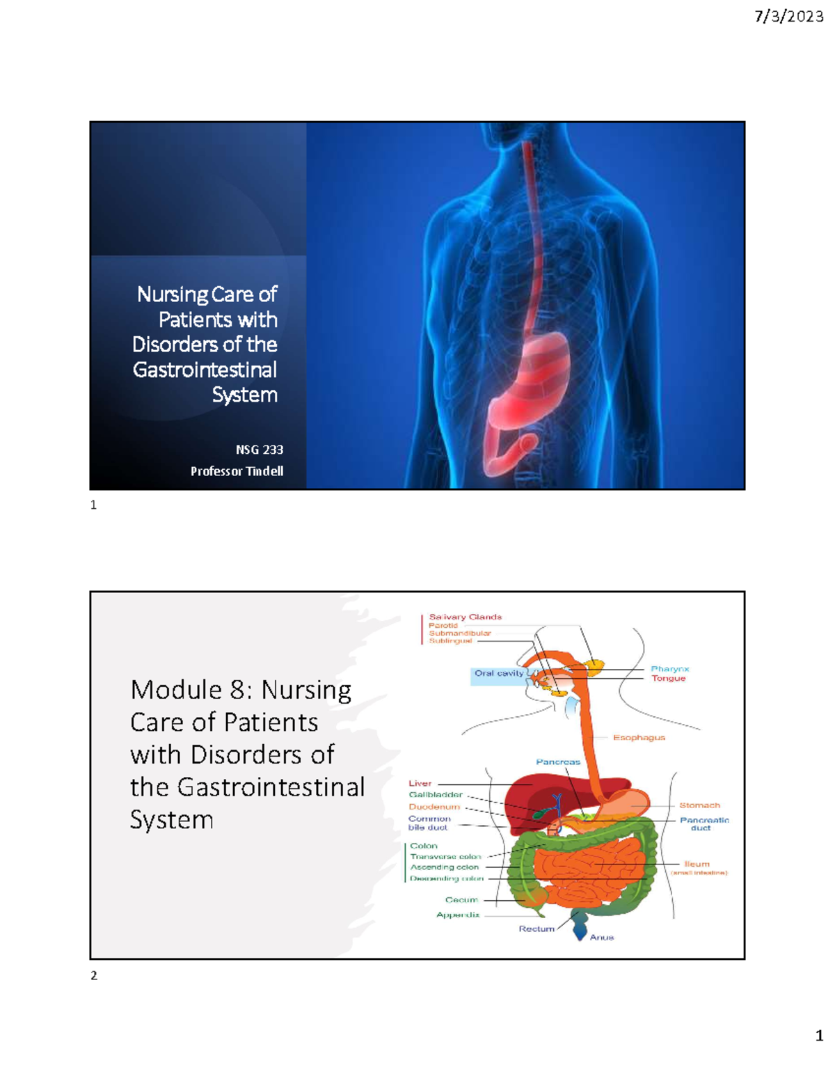 Module 8 - GI - lecture - Nursing Care of Patients with Disorders of ...