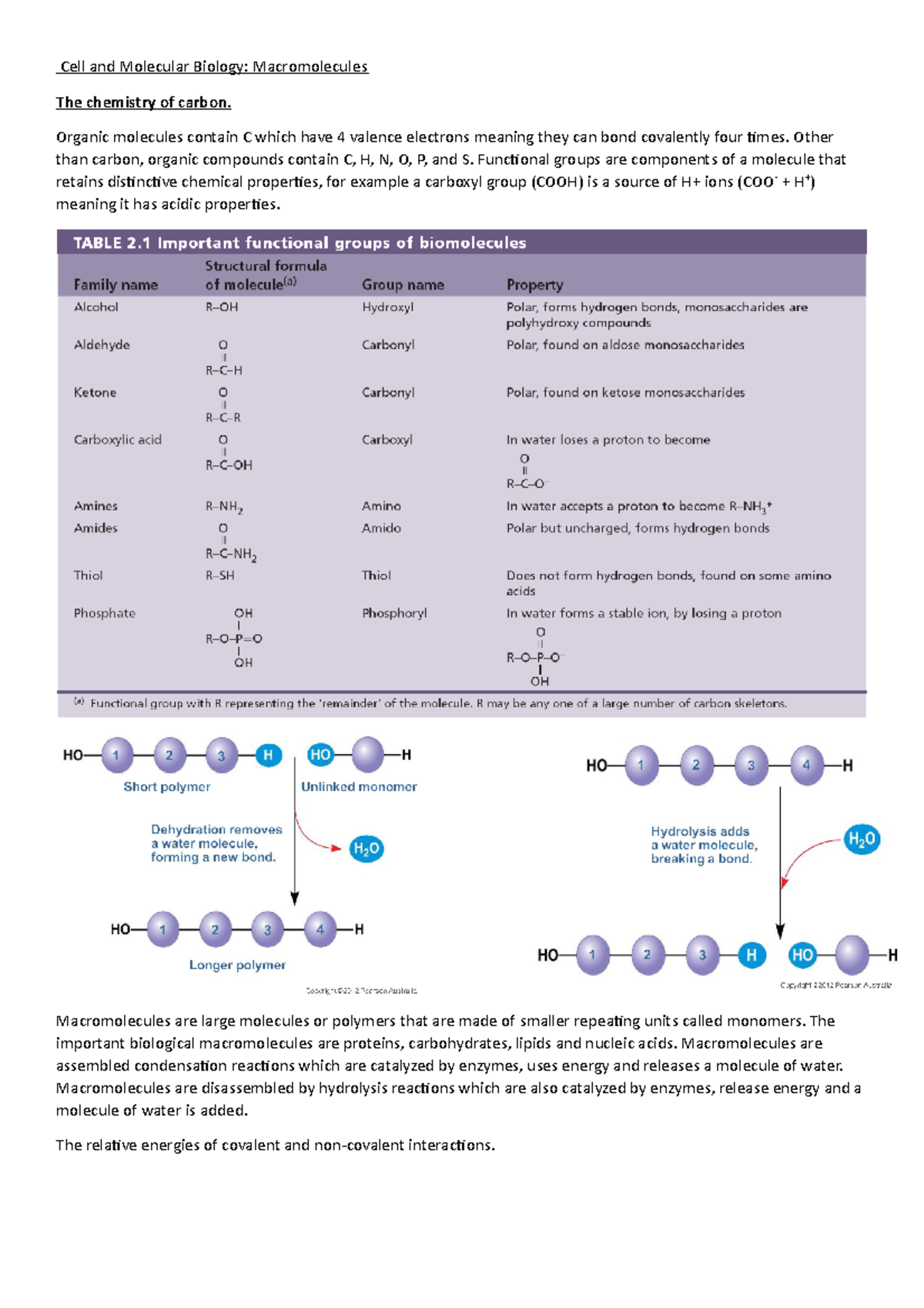 Macromolecules - Cell and Molecular Biology: Macromolecules The ...