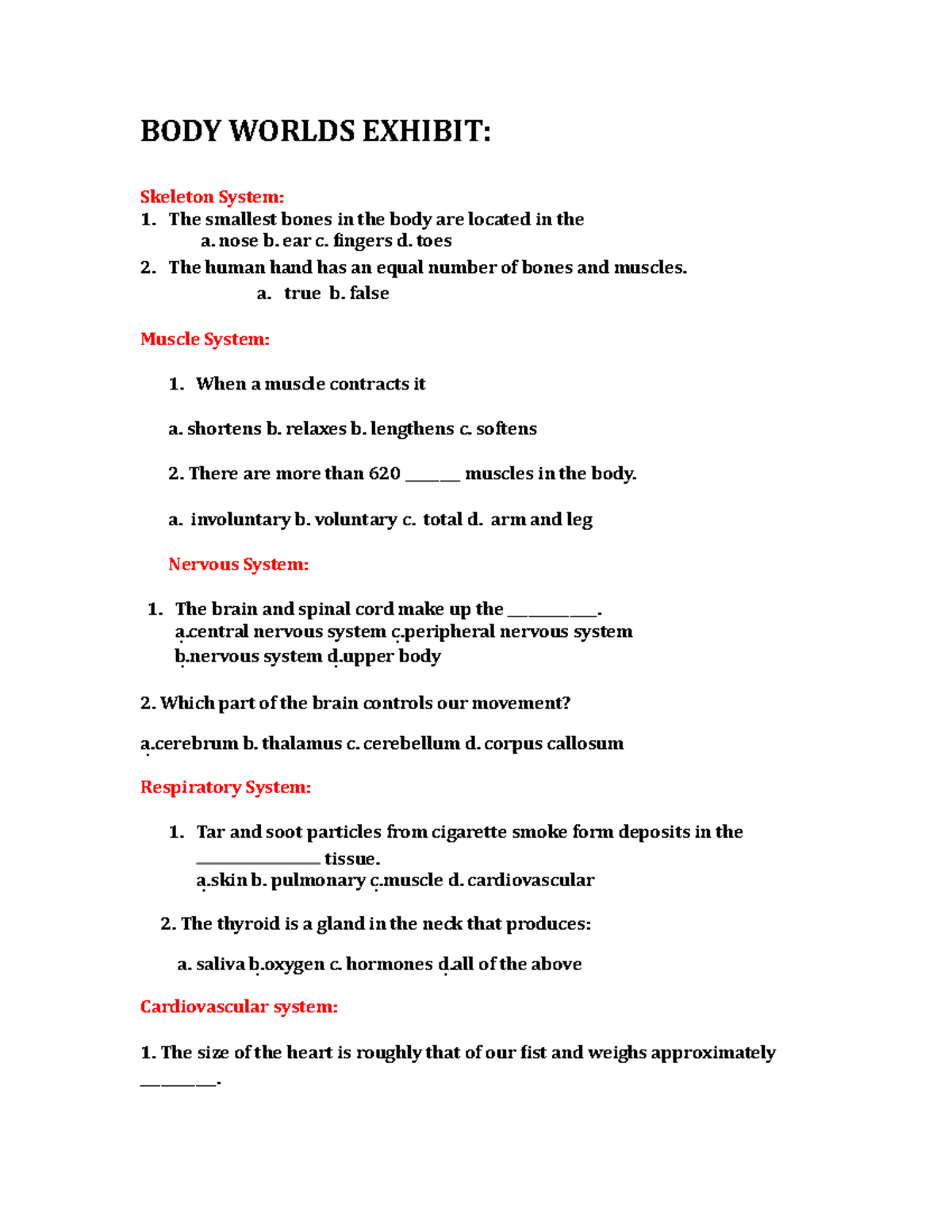 Body Worlds Museum - BODY WORLDS EXHIBIT: Skeleton System: The smallest ...