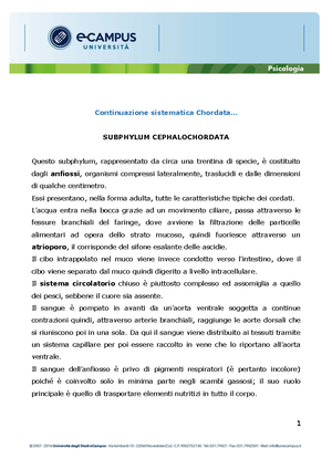 Sistema nervoso autonomo - Esso controlla direttamente le funzioni ...