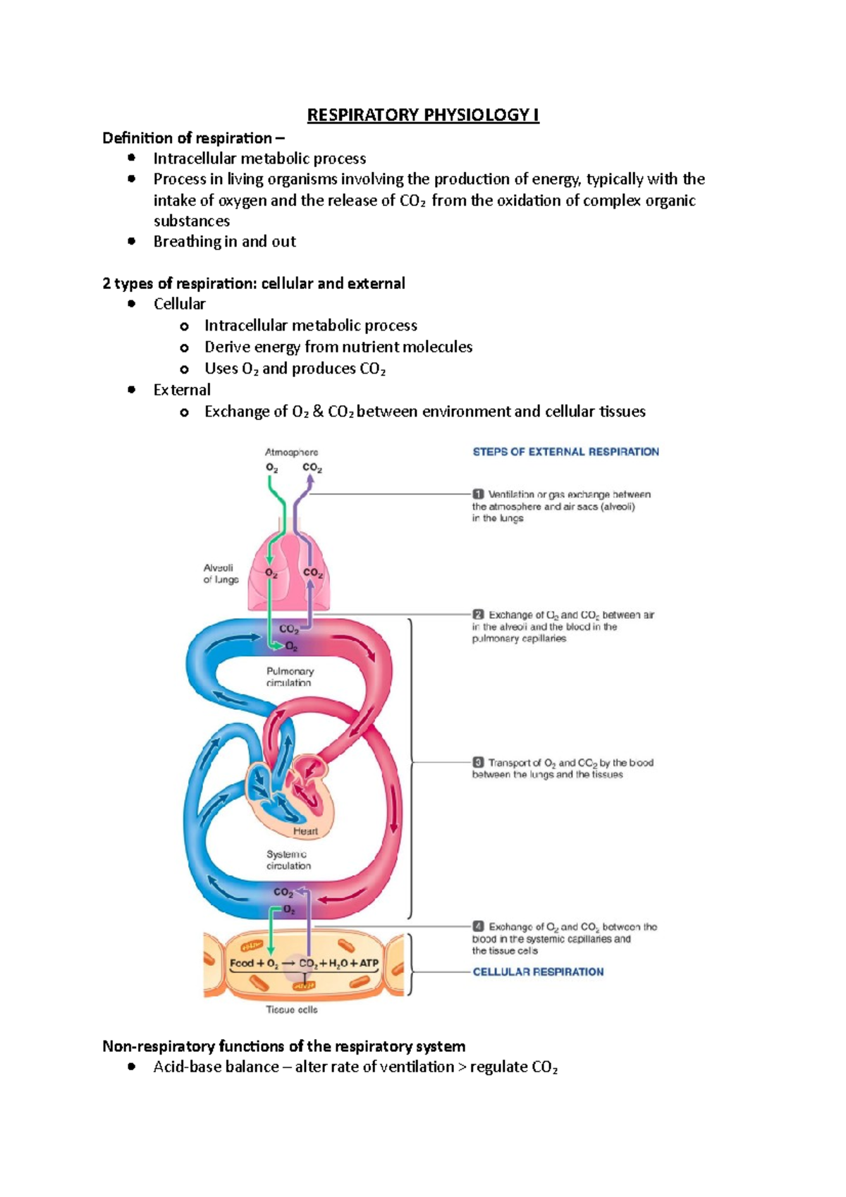 Respiratory Physiology I - Lt 11 - RESPIRATORY PHYSIOLOGY I Definition ...