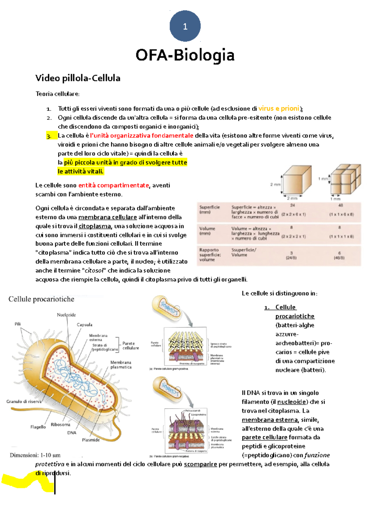 OFA-Biologia - Preparazione d'esame per OFA BIOLOGIA - OFA-Biologia ...