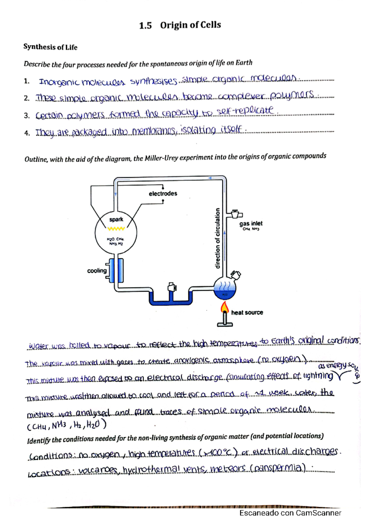 Bioninja Worksheets 1.5, 1.6, 2 - Biologia - Studocu