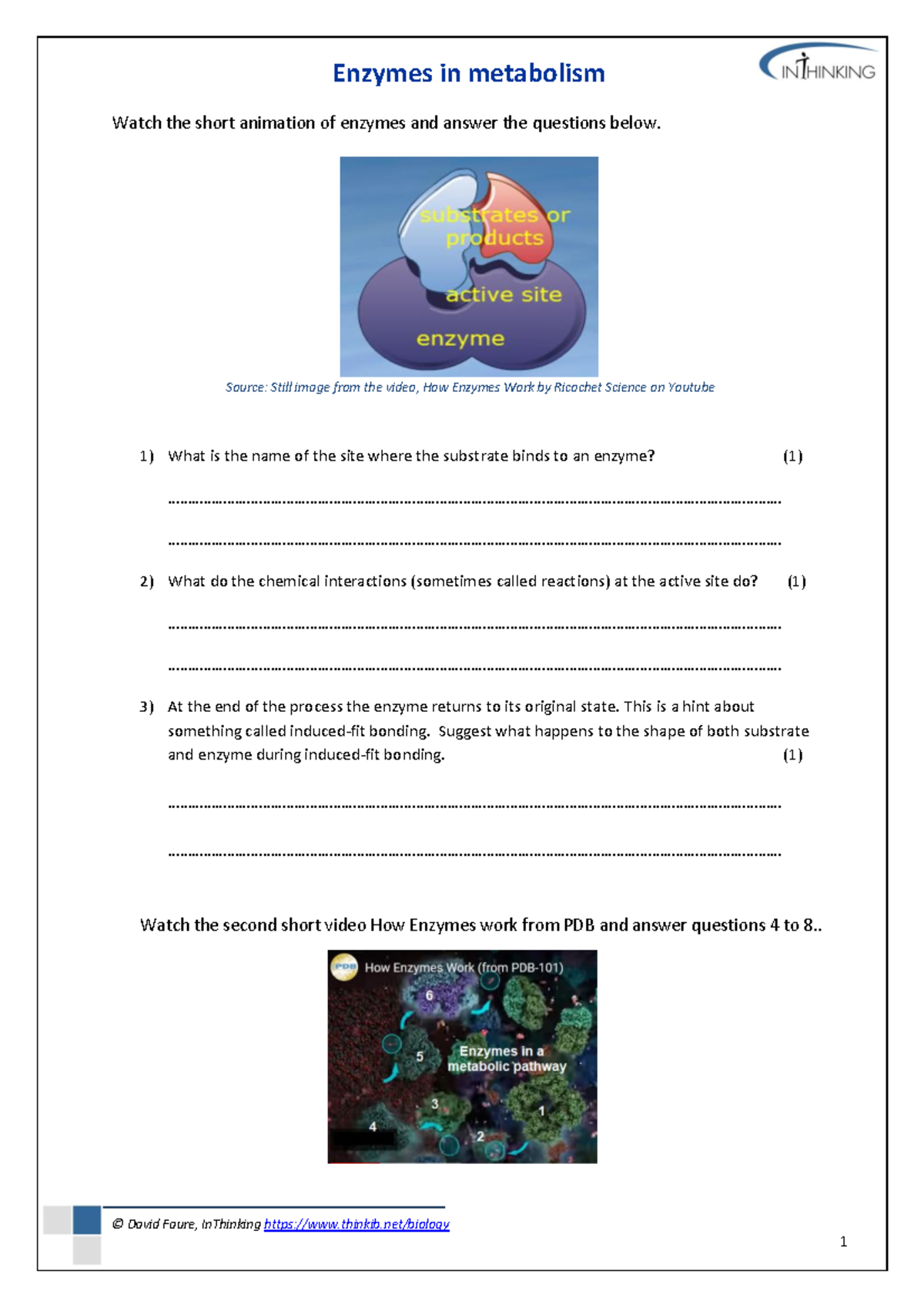Role or enzymesc 1 1 qns - Questions IB for enzymes - Enzymes in ...