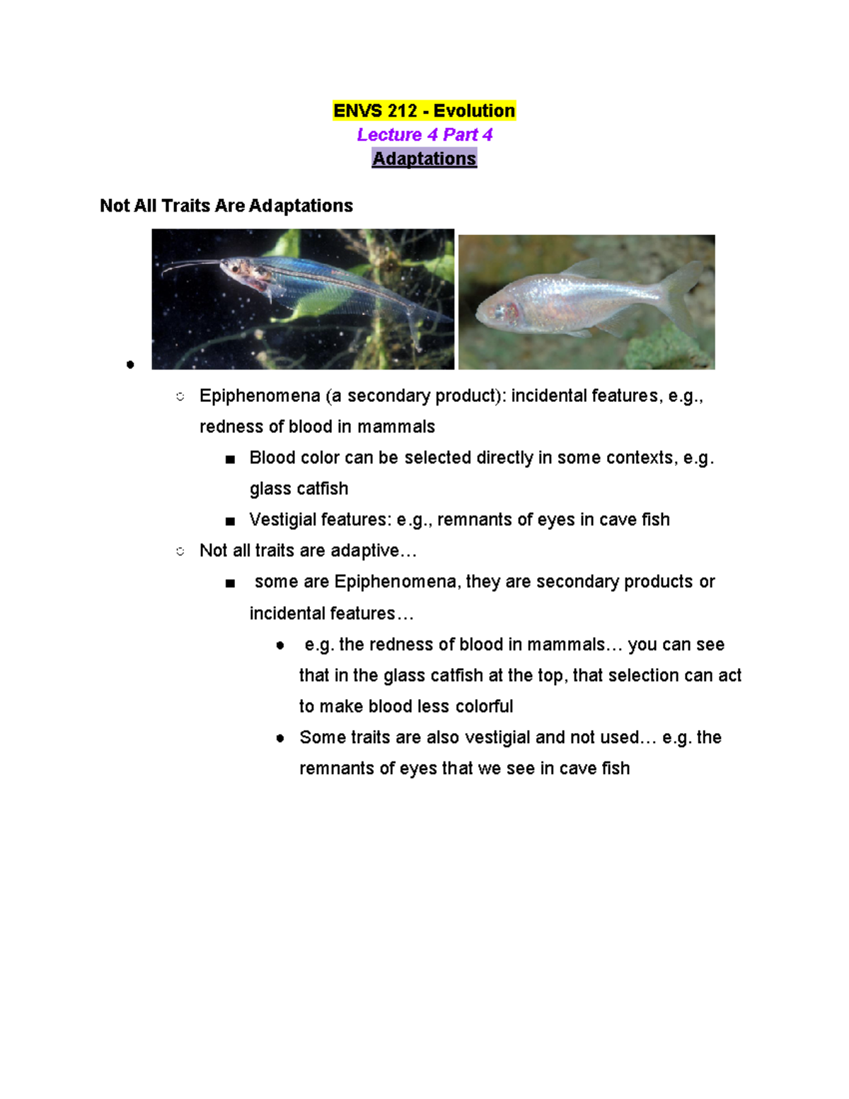 ENVS 212 Lecture 4 Part 4 - Spring 2020 - ENVS 212 - Evolution Lecture 4 Part 4 Adaptations Not ...