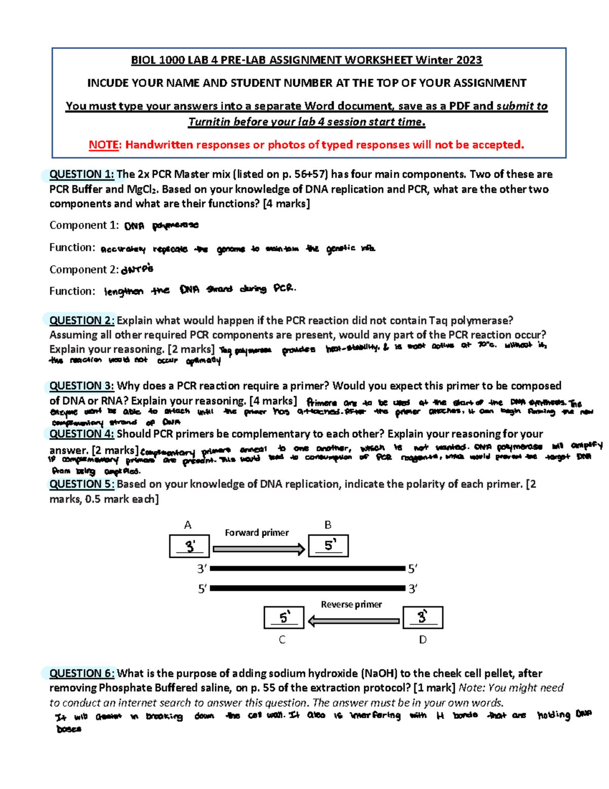 Lab 4 Pre-Lab Worksheet W23 copy - BIOL 1000 LAB 4 PRE-LAB ASSIGNMENT WORKSHEET Winter 2023 ...