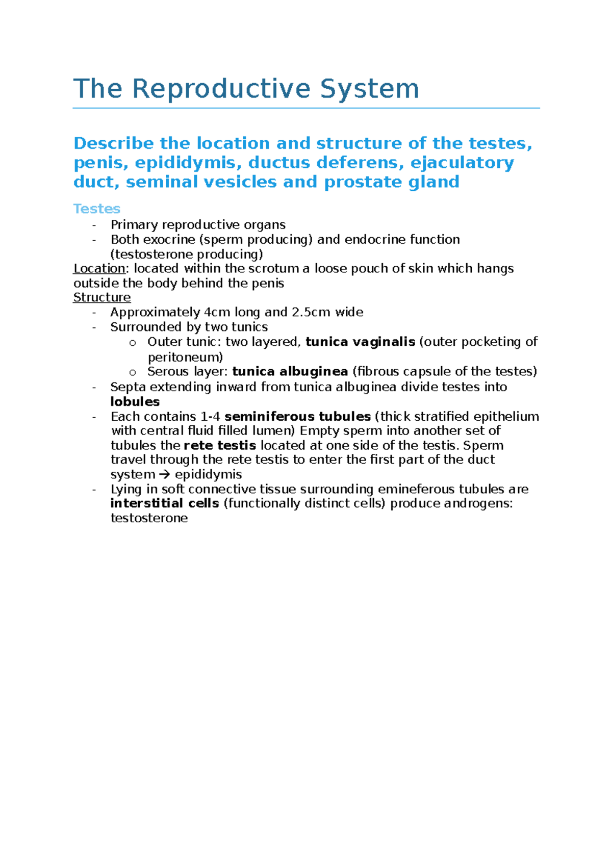 The Reproductive System anatomy - The Reproductive System Describe the ...