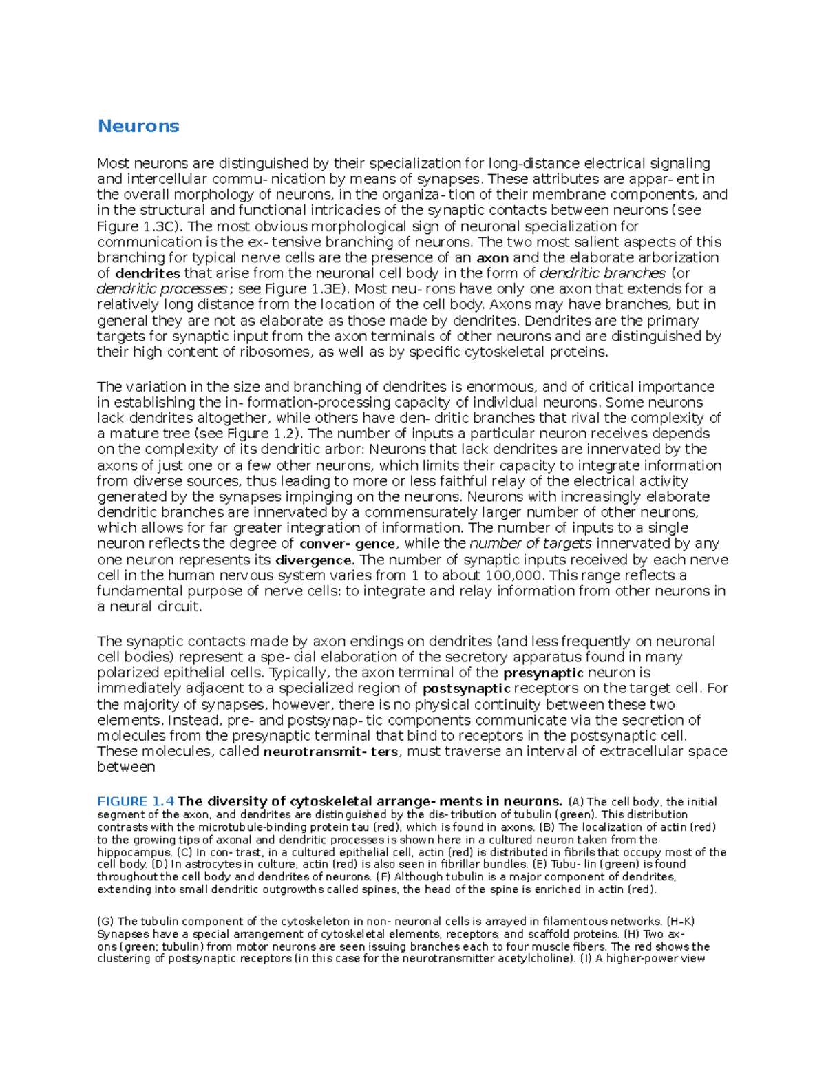 chapter 4 Neurons notes - Neurons Most neurons are distinguished by ...