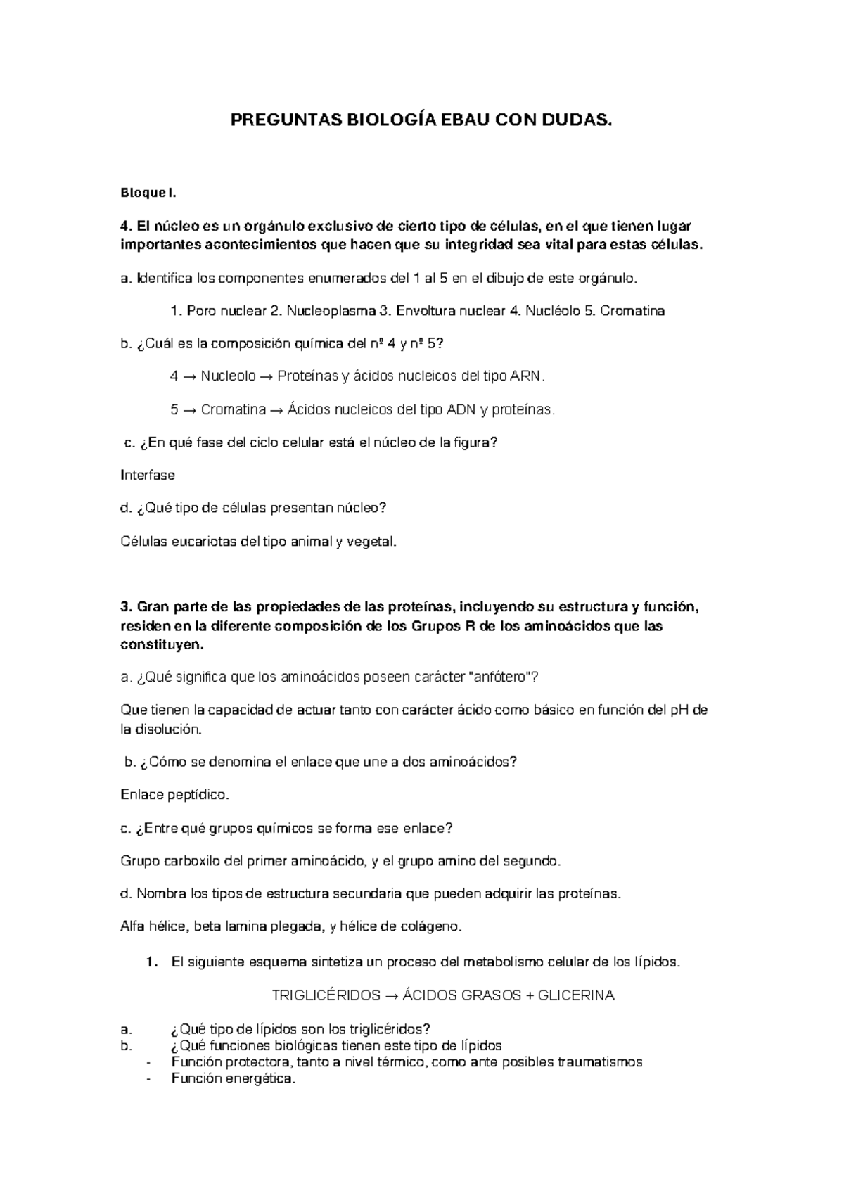 Preguntas ebau resueltas - PREGUNTAS BIOLOGÍA EBAU CON DUDAS. Bloque I. 4. El núcleo es un ...